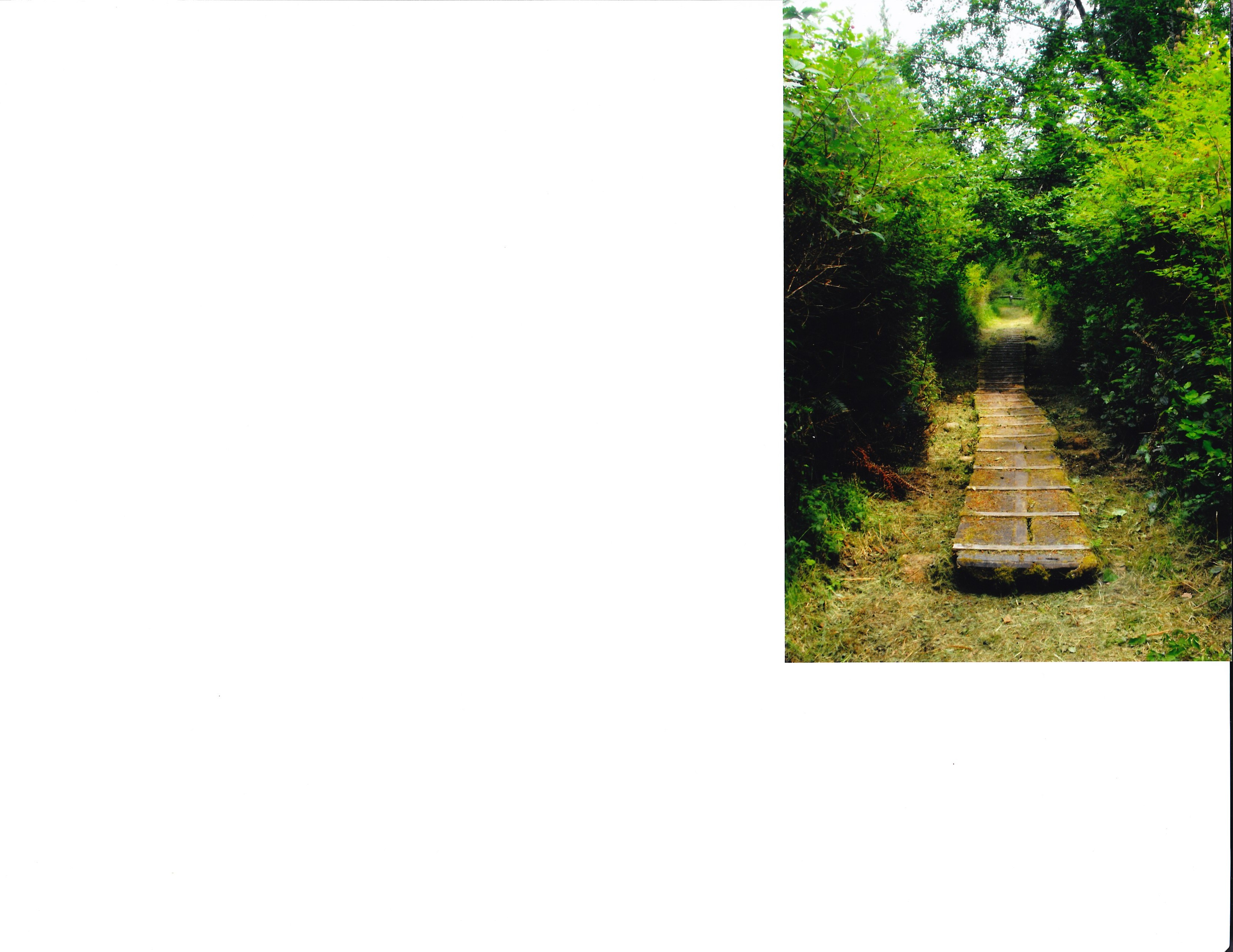 Grief Path | Cindy Brosh Counseling, Inc.